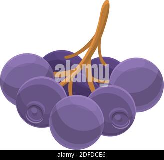 Juicy elderberry icon. Cartoon of juicy elderberry vector icon for web ...