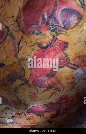 Paleolithic rock art, Polychrome room, Neocueva de Altamira, Santillana ...