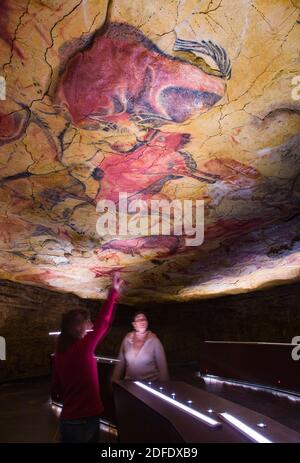 Paleolithic rock art, Polychrome room, Neocueva de Altamira, Santillana ...