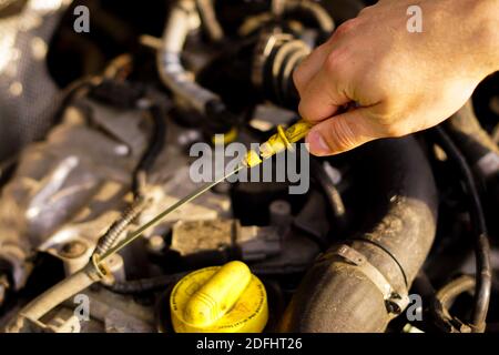 Automotive mechanic checking the level of engine oil. Vehicle ...