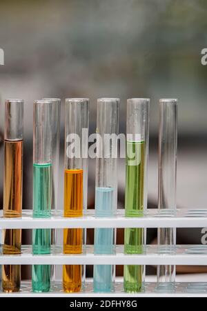 Image of test tubes with colorful solutions are placed in a rack in a ...