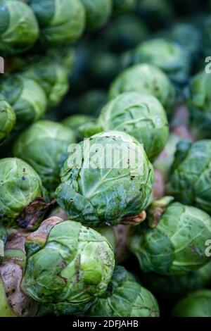 Sprouts on the stalk for sale on a farmers market stall Stock Photo - Alamy