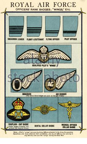 Ranks and Insignia of the British Armed Forces - Royal Navy, from WW2 ...