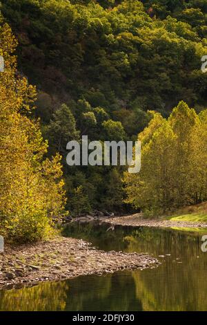 Autumn view of angler in North Fork South Branch Potomac River, Seneca ...