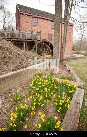 Colvin Run Mill Historic Site, a water-powered gristmill, built about ...