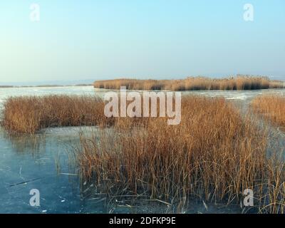 Lake Velence, Velencei-tó, Welenzer See, Fejér county, Hungary ...