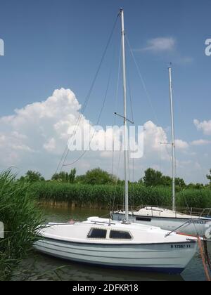 Lake Velence, Velencei-tó, Welenzer See, Fejér county, Hungary ...