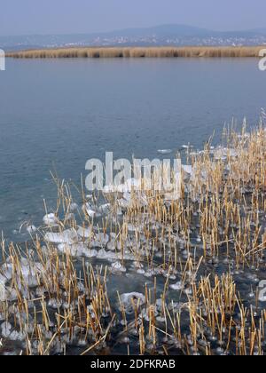 Lake Velence in winter, Velencei-tó, Welenzer See, Fejér county ...