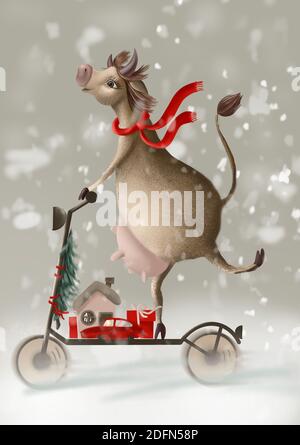 beautiful various snowflakes Stock Photo - Alamy