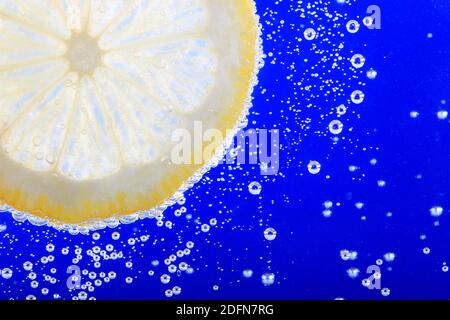 Disc Lemonin water, ( Citrus limon Stock Photo - Alamy