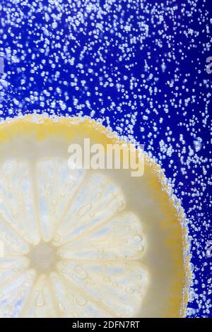 Disc Lemonin water, ( Citrus limon Stock Photo - Alamy