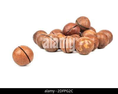 macadamia in shell round nut with saw cut protein healthy food close-up ...