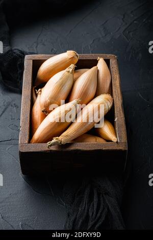 Raw whole baby shallot onion, on white textured background with space ...