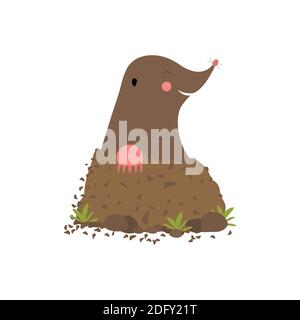 Mole Digging Out of the dirt animal cartoon character vector ...