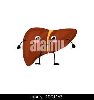 Healthy liver and happy smiling medicine pill characters hold hands ...