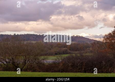 Hascombe Hill, overlooking Dunsfold Aerodrome, Surrey, UK. Wintry ...