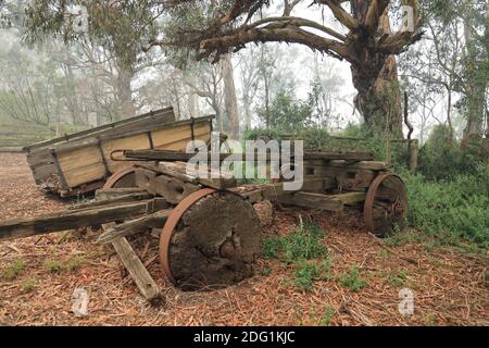 Remains of an old wooden bullock dray in the Nyerimilang Heritage Park ...