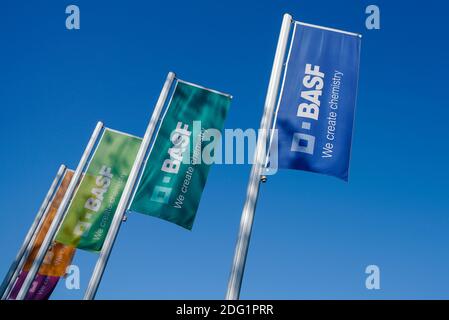 BASF flags in Ludwigshafen, Germany Stock Photo - Alamy
