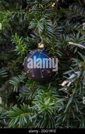 christmas lights hanging in a tree background Stock Photo - Alamy