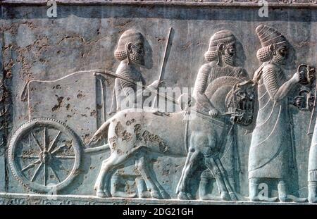 Apadana Palace , Persepolis : Persian relief in sculpture of officials ...
