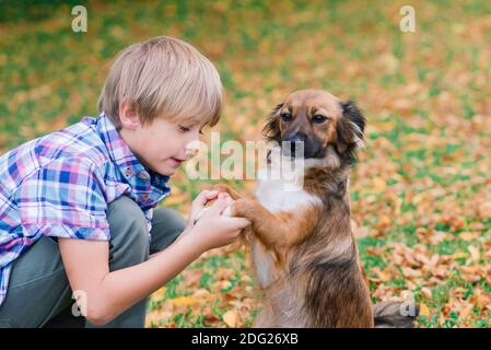 Boy hugging a dog and plyaing with in the fall, city park Stock Photo ...