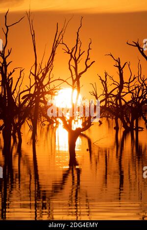 Menindee lakes in the far west of New South Wales, Australia Stock ...