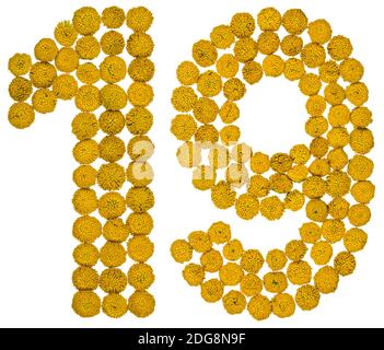 Arabic numeral 19, nineteen, from flowers of chrysanthemum, isolated on ...