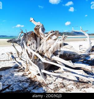 Whitehaven beach lagoon at national park queensland australia tropical ...