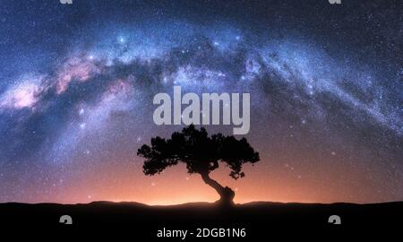 Alone tree and Milky Way arch at night. Landscape with old tree, bright ...