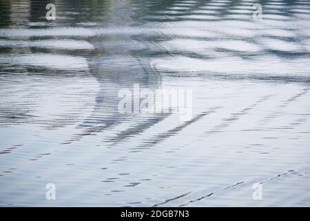 Gentle blue waves, current on water's surface or wake from boat ...
