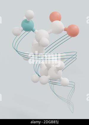Leucine (Leu, L) amino acid, molecular model. Amino acids are the ...