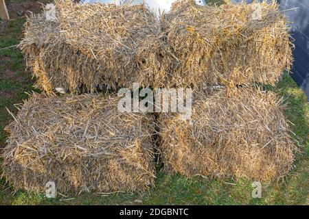 Rectangular Shape Hay Bale at Farm Agriculture Stock Photo - Alamy