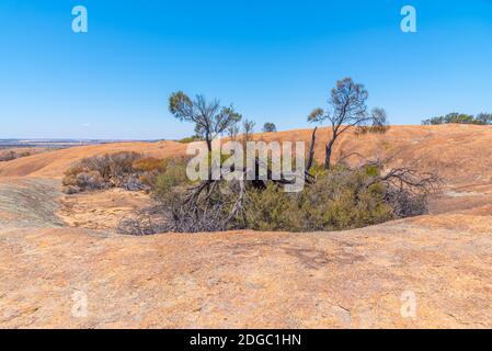 Landscape of Wave rock wildlife park in Australia Stock Photo - Alamy