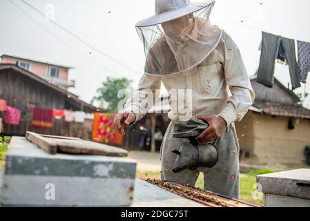 A Nepali beekeeper inspects beehives at a bee farm in Sauraha, Chitwan ...