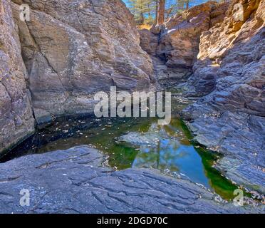 One of several natural ponds near Sycamore Falls known as the Pomeroy ...