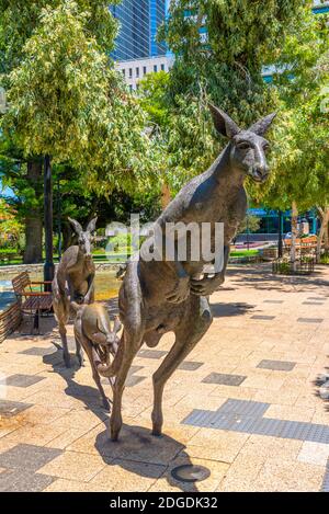 A bronze sculpture of kangaroos in the CBD of Perth, Western Australia ...
