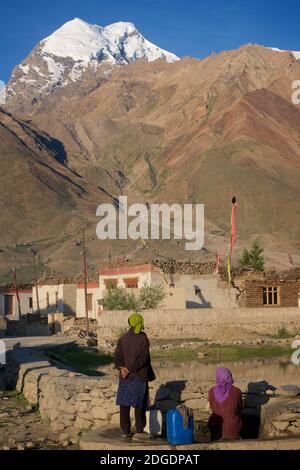 India, Ladakh, Zanskar, Padum, Pibiting village, ladder to house roof ...