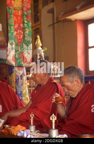 Monks in the prayerhall at Stongdey Monastery, Zanskar, Ladakh ...
