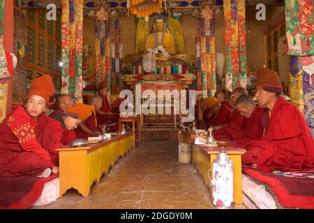 Monks in the prayerhall at Stongdey Monastery, Zanskar, Ladakh ...