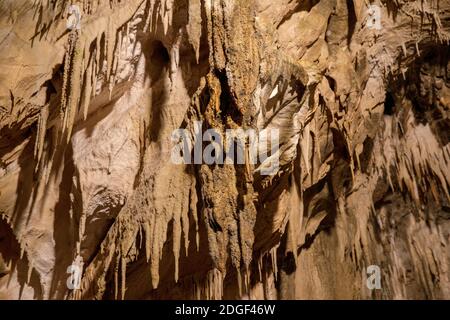 Inside the Ngarua Caves, Takaka Hills, Nelson Tasman, New Zealand ...
