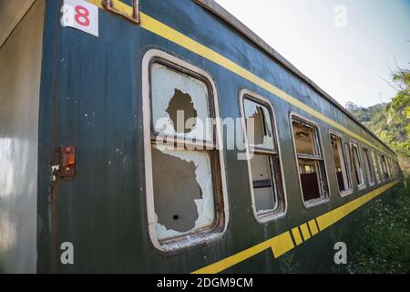 There are piles of abandoned green-skinned trains on the train ...