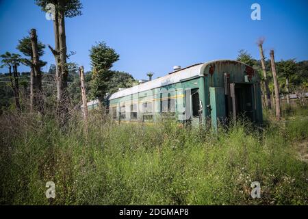 There are piles of abandoned green-skinned trains on the train ...
