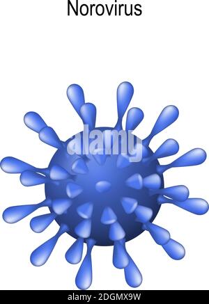 Bug Vector Icon Sign Icon Vector Illustration For Personal And ...