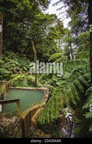 Waterfall, hot spring, Caldeira Velha, São Miguel, Azores, Portugal ...