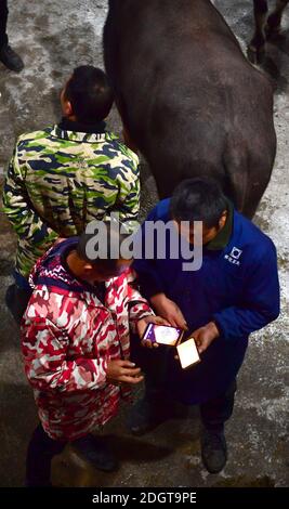 A courtyard in the Qing Dynasty named the Qin Family is well-preserved ...