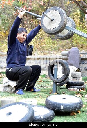 Grandpas exercise in a special "gym" in the forest space of a local ...