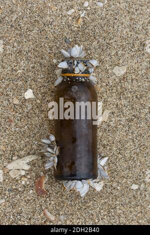 Marine Litter on a Beach, Koh Lanta, Thailand Stock Photo - Alamy