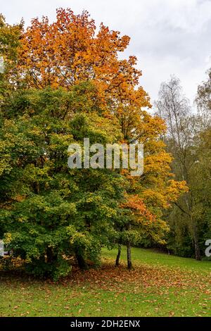 The Nagold Dam at the Nagold Valley, Black Forest, Germany Stock Photo ...
