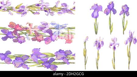 Stylized Iris Background Stock Vector Image & Art - Alamy