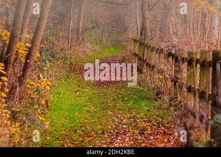 Sandwell Valley, Birmingham Stock Photo - Alamy